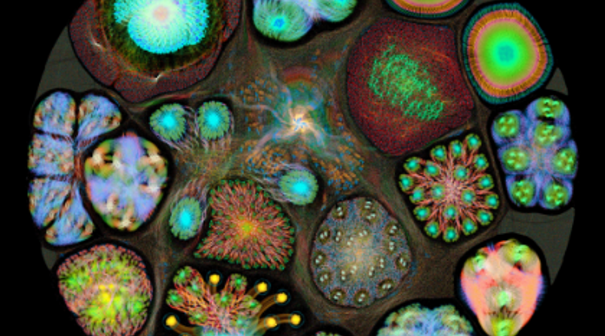 Diversity and Inclusion | Atomico